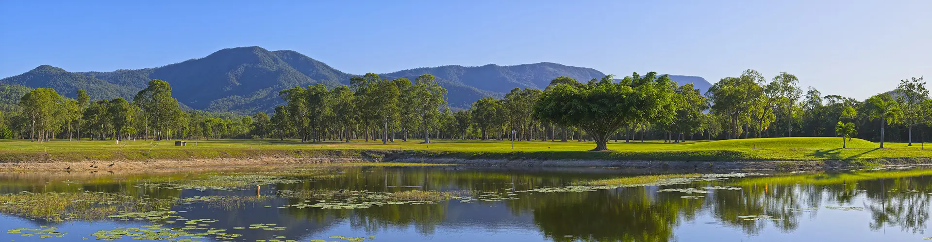 Cardwell Golf Club - About Our Club